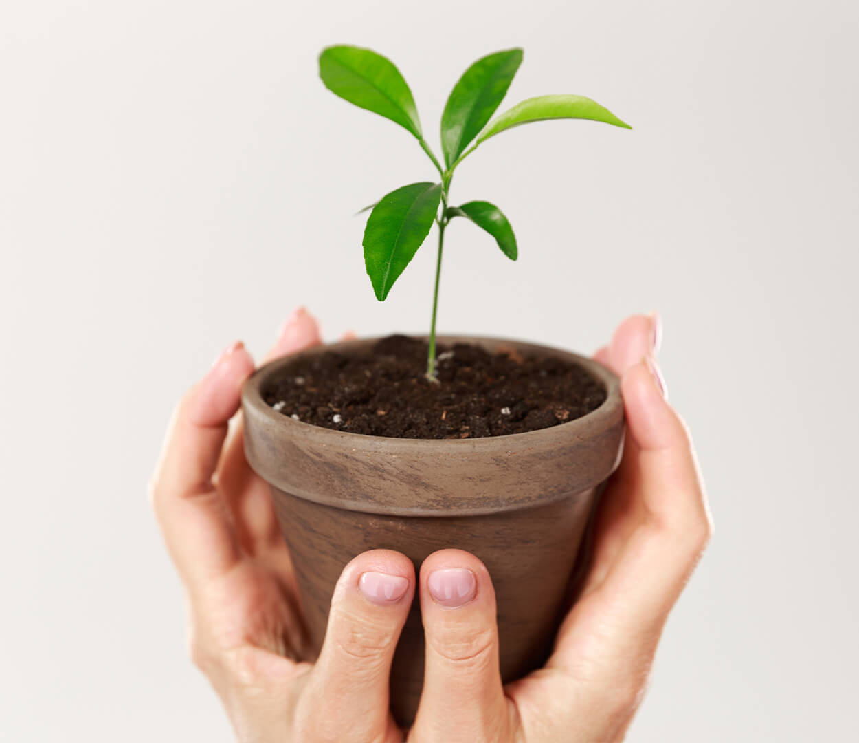 Careers - LSA Recovery Inc